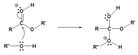 Transesterification - Process, Reaction Mechanism, Applications
