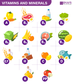 The Scientific Name Of Vitamins- Sources and its Scientific Name