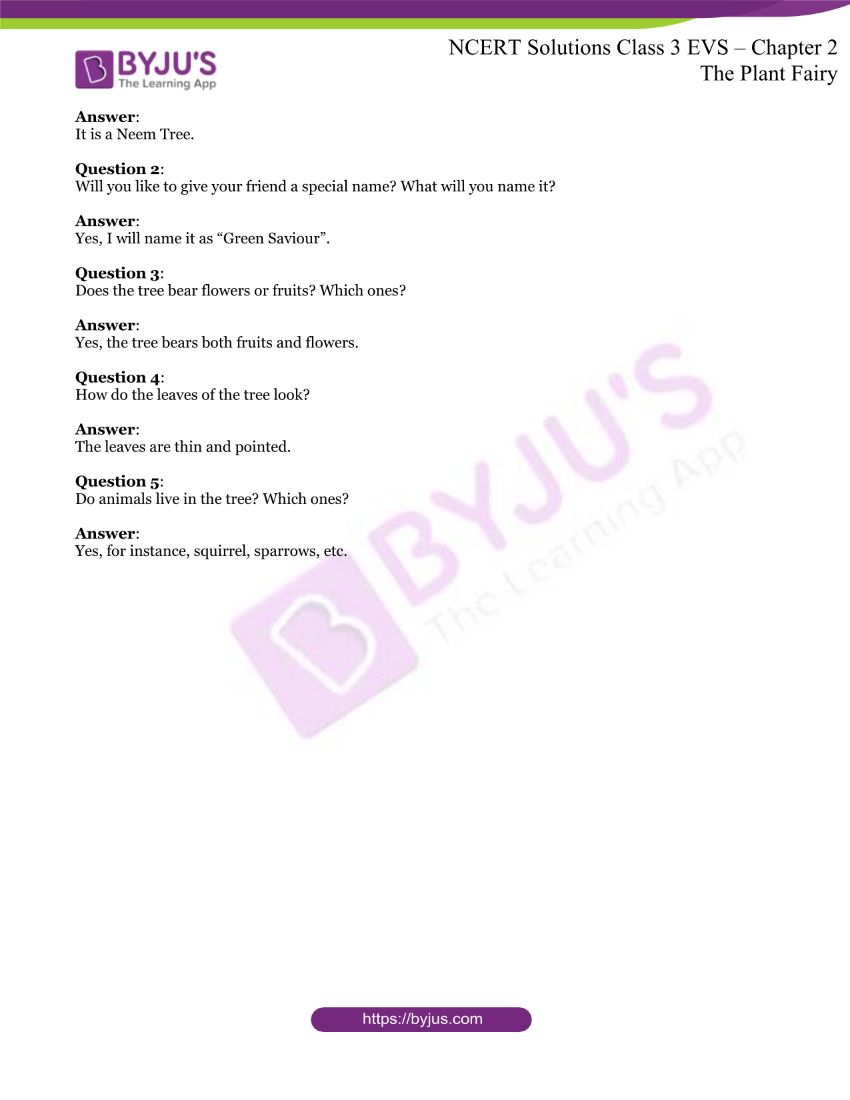 NCERT Solutions for Class 3 EVS Chapter 2 The Plant Fairy | PDF