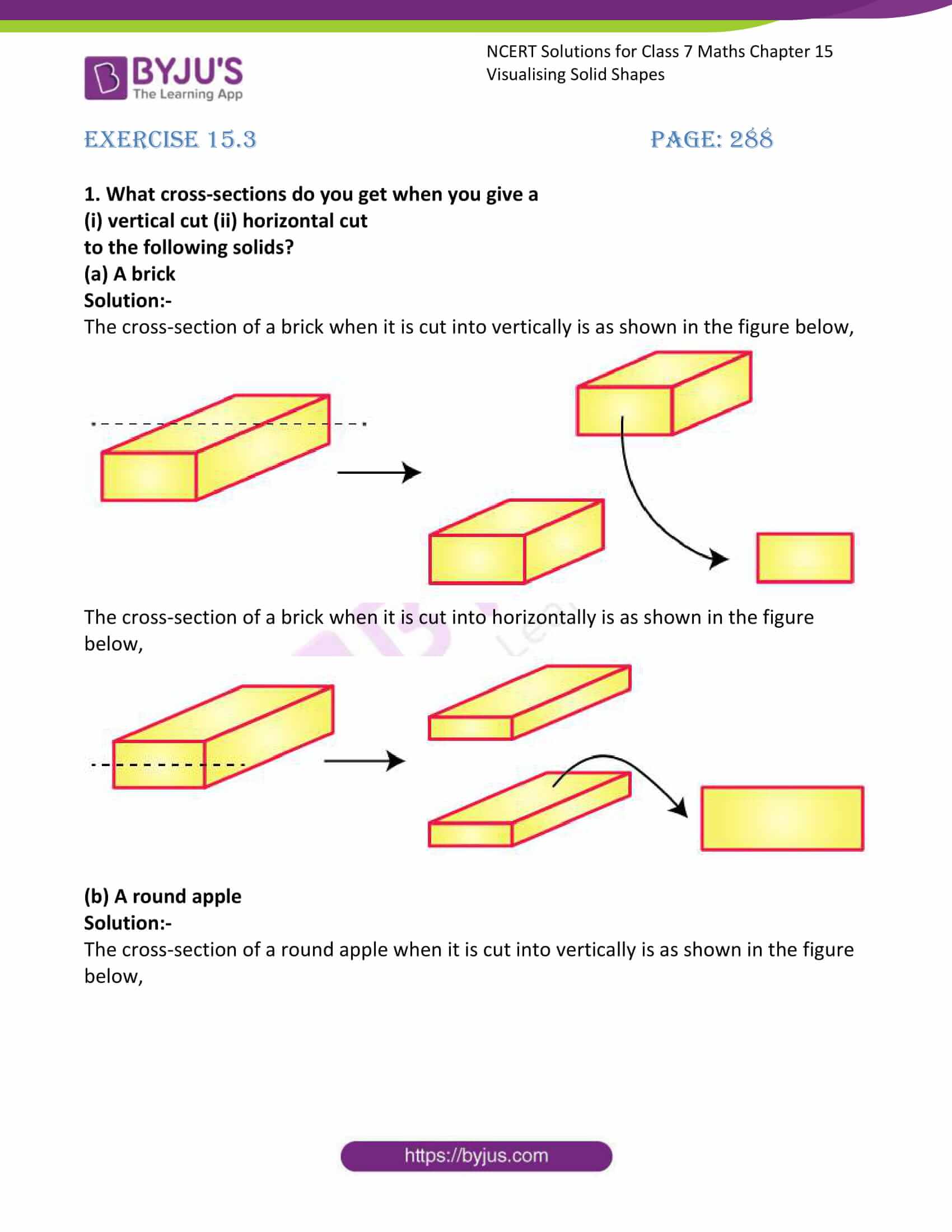 NCERT Solutions for Class 7 Maths Chapter 15 Visualising Solid Shapes ...