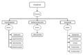 Bryophytes: Habitat, Classification, Characteristics, Economic ...