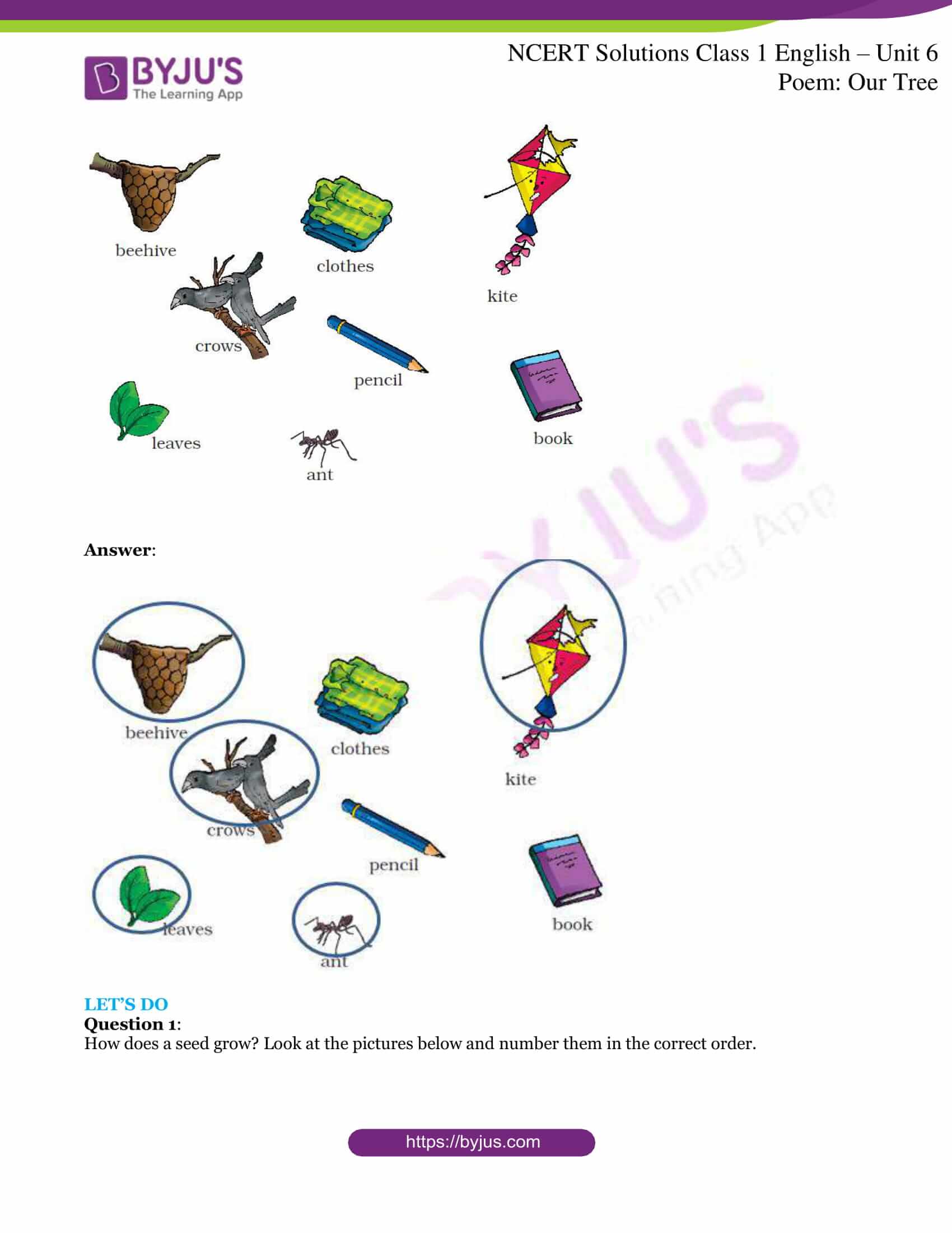 NCERT Solutions for Class 1 English Unit 6 Poem Our Tree- Download PDF