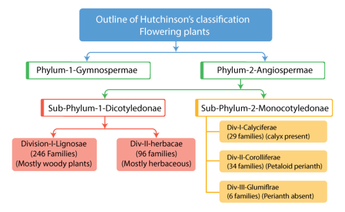 Plant Taxonomy: Taxonomy and Systematics, List of Systems, Importance