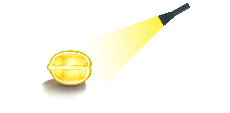 Light, Shadows and Reflections Class 6 Chapter 11 Science Notes