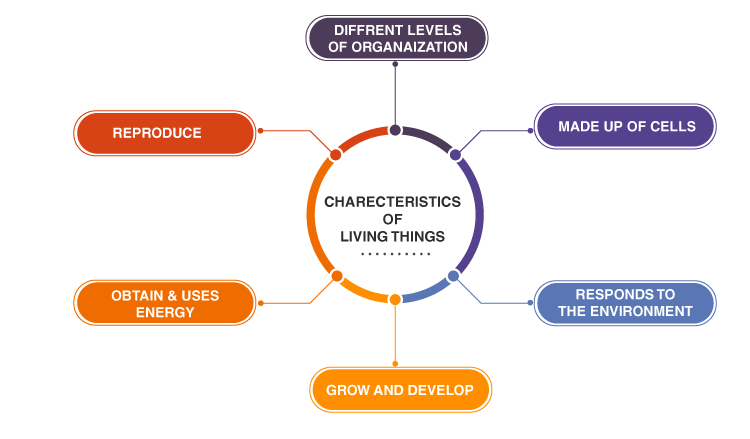 The Living Organisms - Characteristics and Habitats Class 6 Chapter 9 ...