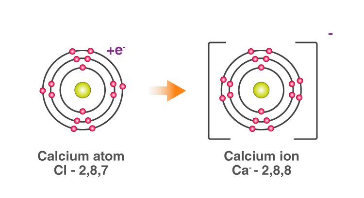 Ionic Compounds