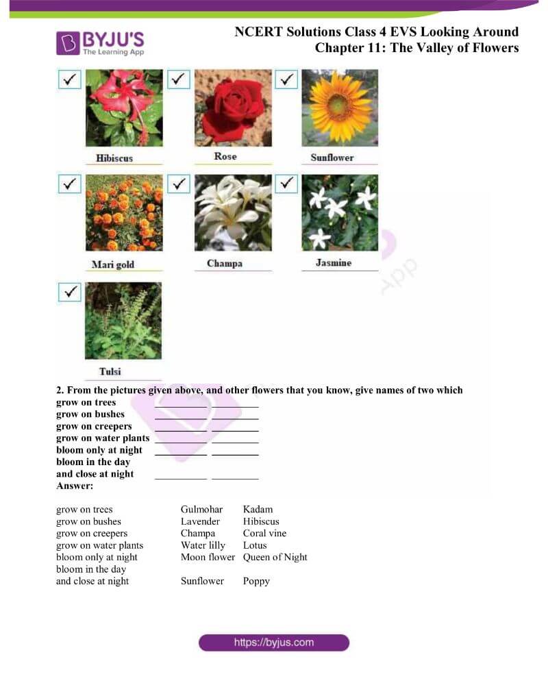 NCERT Solutions Class 4 EVS Chapter 11 The Valley Of Flowers Get Free