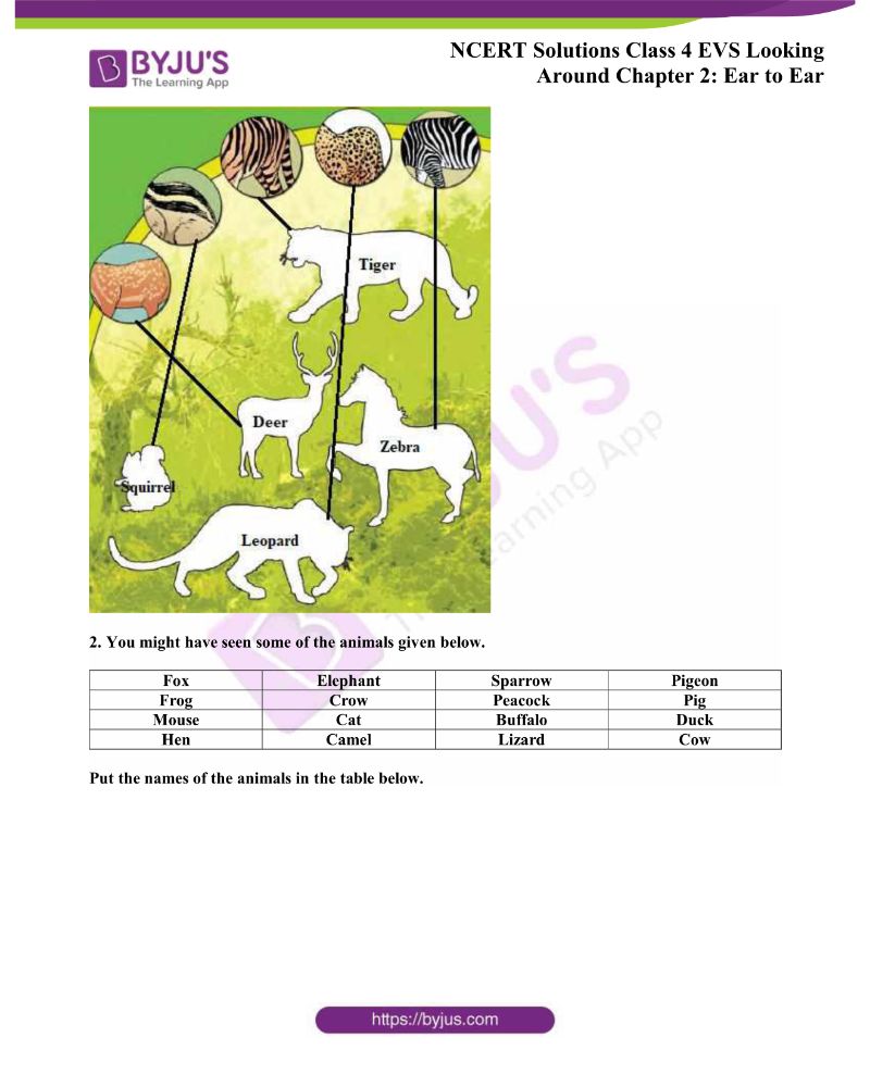 NCERT Solutions Class 4 EVS Chapter 2 Ear To Ear Get Free PDFs