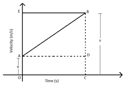 Motion Class 9 Notes - Chapter 8 Key Points To Note
