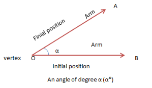 Acute Angle (Definition, Formula and examples)