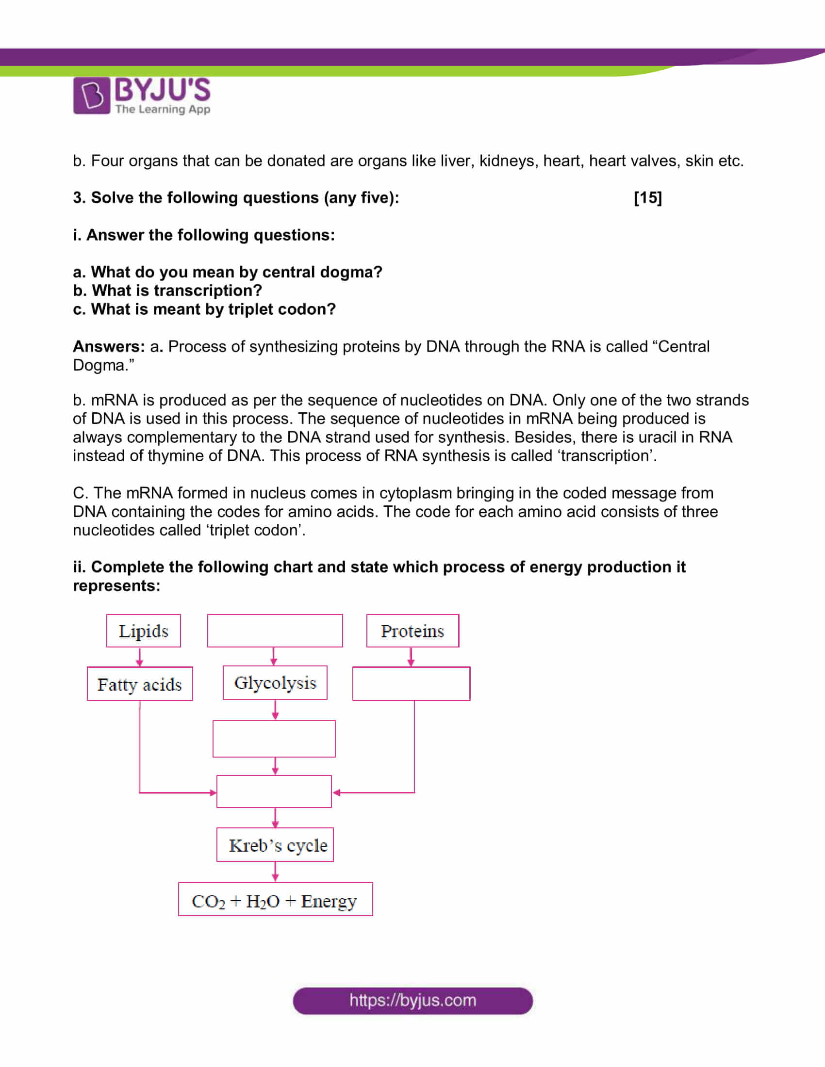 Maharashtra SSC Board Science 2019 Previous Year Question Papers With ... Maharashtra SSC Board Science 2019 Previous Year Question Papers With ...