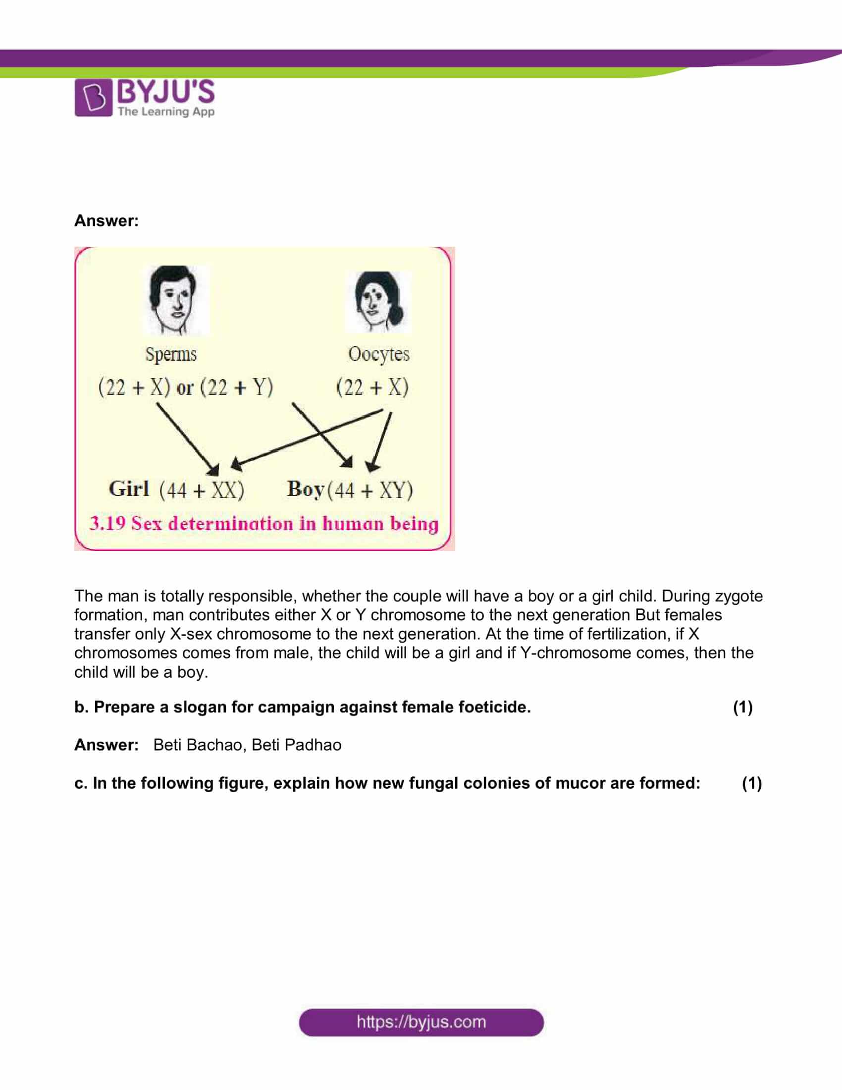 Maharashtra SSC Board Science 2019 Previous Year Question Papers With ... Maharashtra SSC Board Science 2019 Previous Year Question Papers With ...