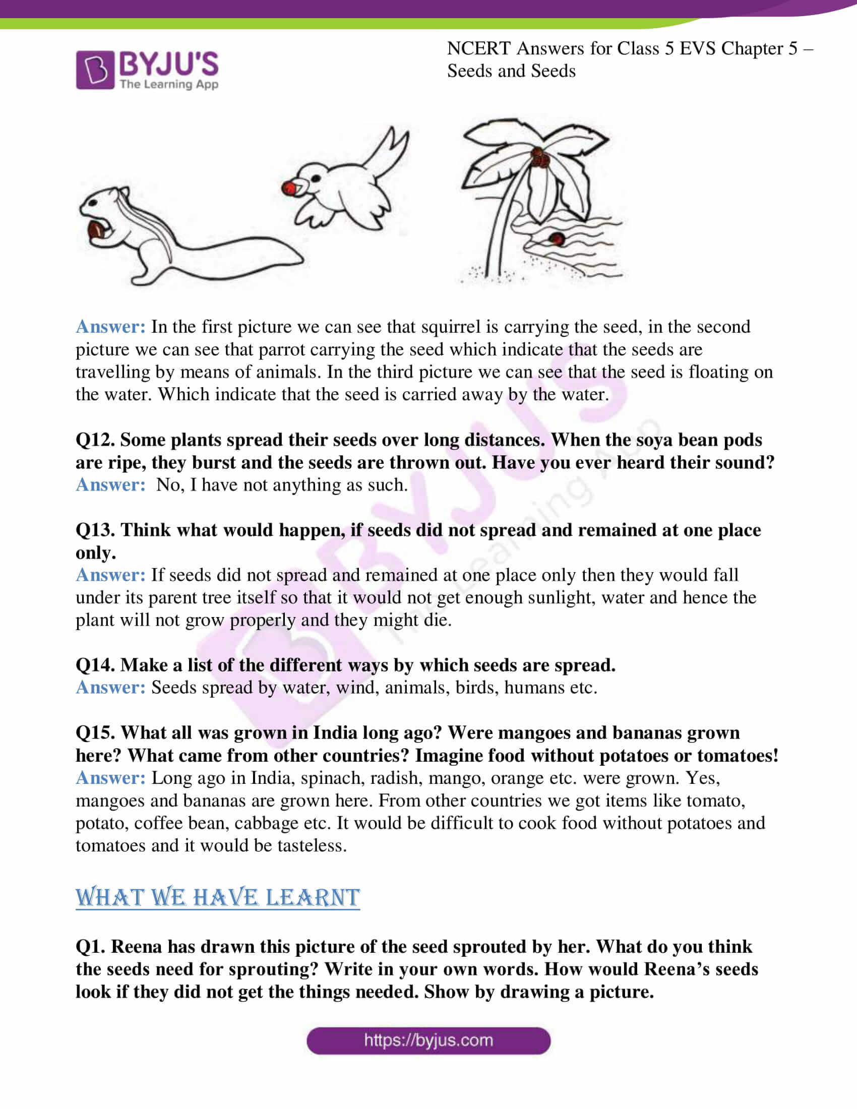 ncert ans class 5 evs ch5 seeds and seeds 8