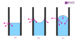 Capillary Action - Meaning, Definition, Examples, Adhesion, Cohesion