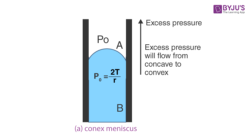 Capillary Action - Meaning, Definition, Examples, Adhesion, Cohesion