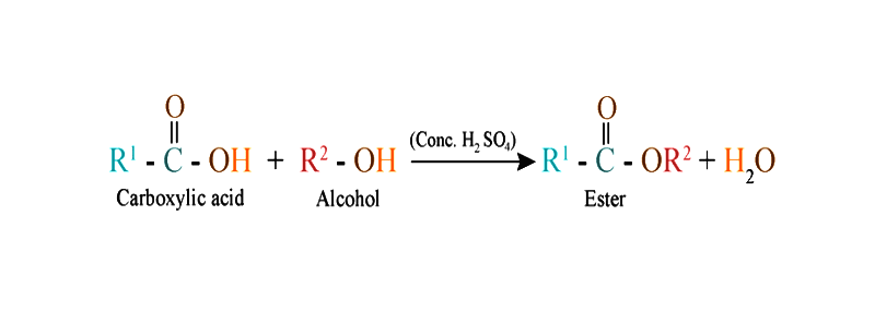 Carbon and its Compounds CBSE Class 10 Chapter 4 Science Notes