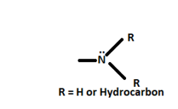 What are Amines - Definition, Types, Structure, Preparation, Properties ...