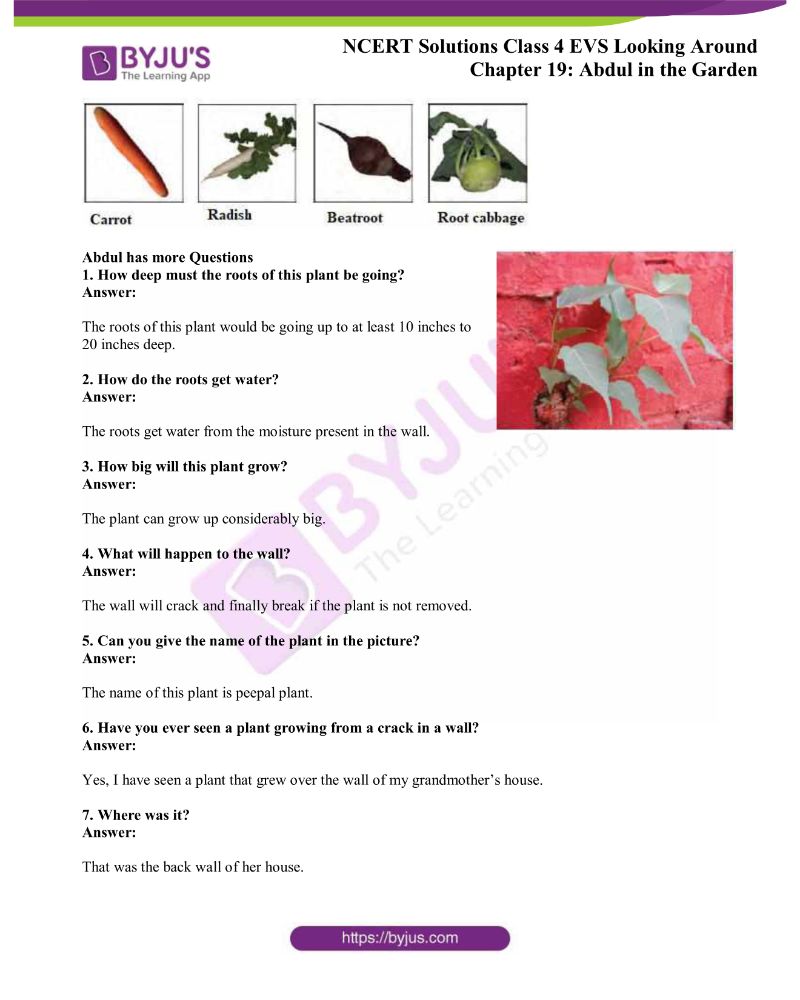 NCERT Solutions Class 4 EVS Chapter 19 Abdul in the Garden - Click Here ...