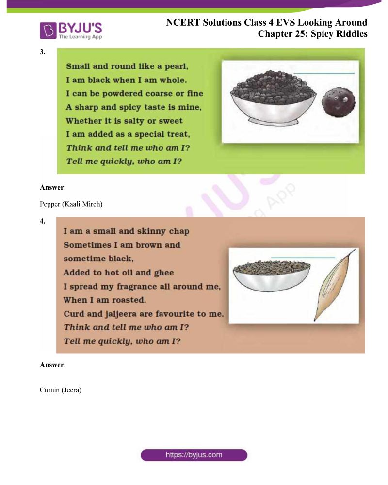 NCERT Solutions Class 4 EVS Chapter 25 Spicy Riddles - BYJU'S