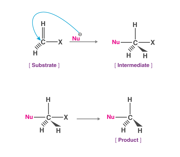 Nucleophile Examples