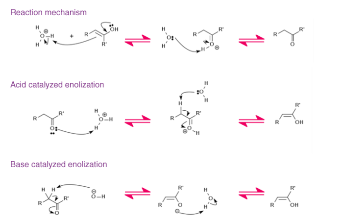 Tautomerism - Meaning, Definition, Types, Examples, Reactions