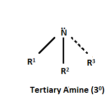 What are Amines - Definition, Types, Structure, Preparation, Properties ...