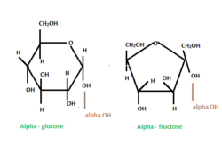 Fructose Structure - Diagrams, Ring Structure, Properties, Uses