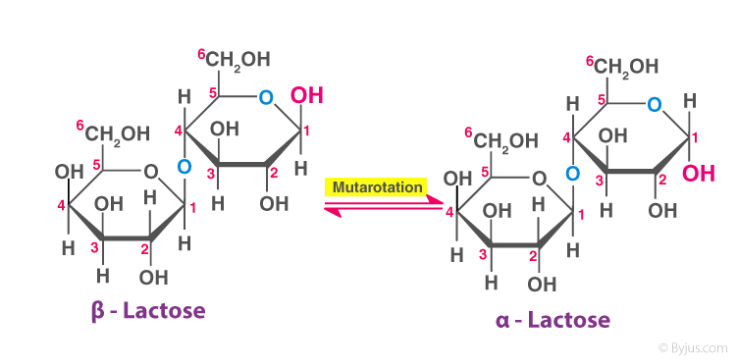 Mutarotation - mutarotation observed in different carbohydrates
