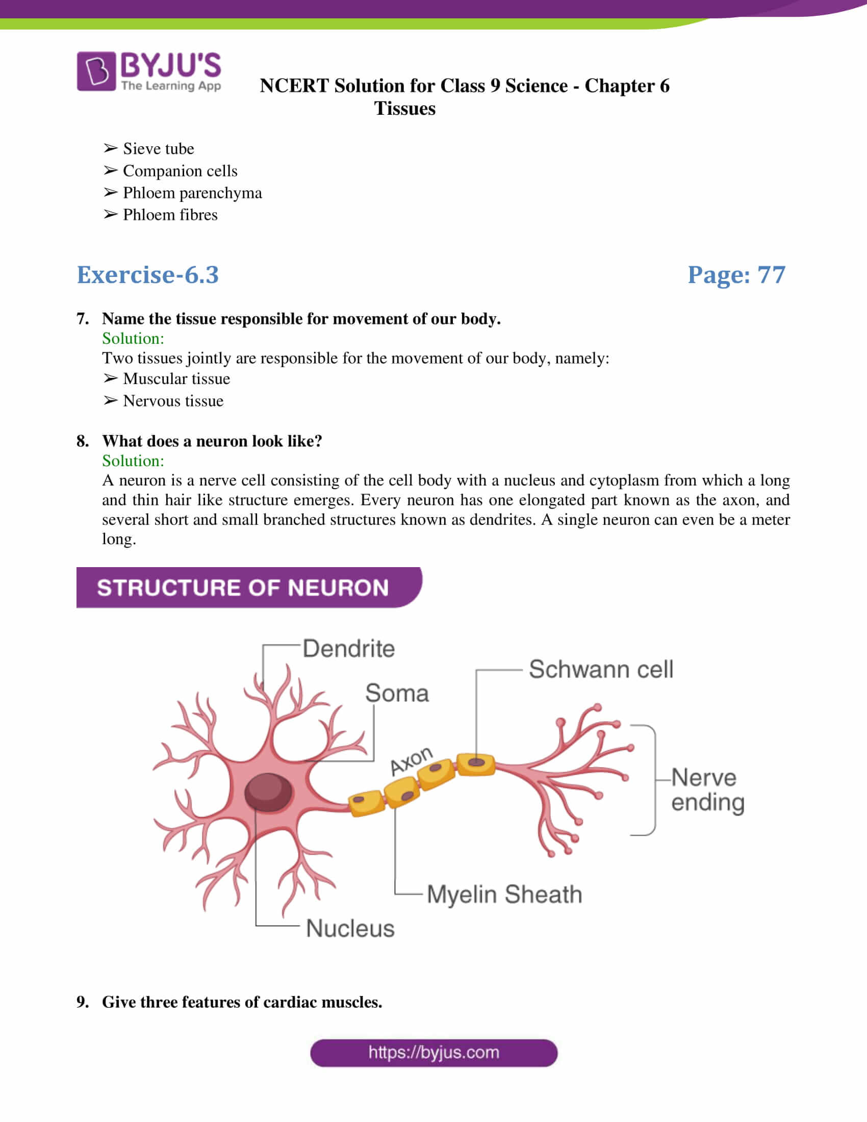 NCERT Solutions For Class 9 Science Chapter 6 Tissues