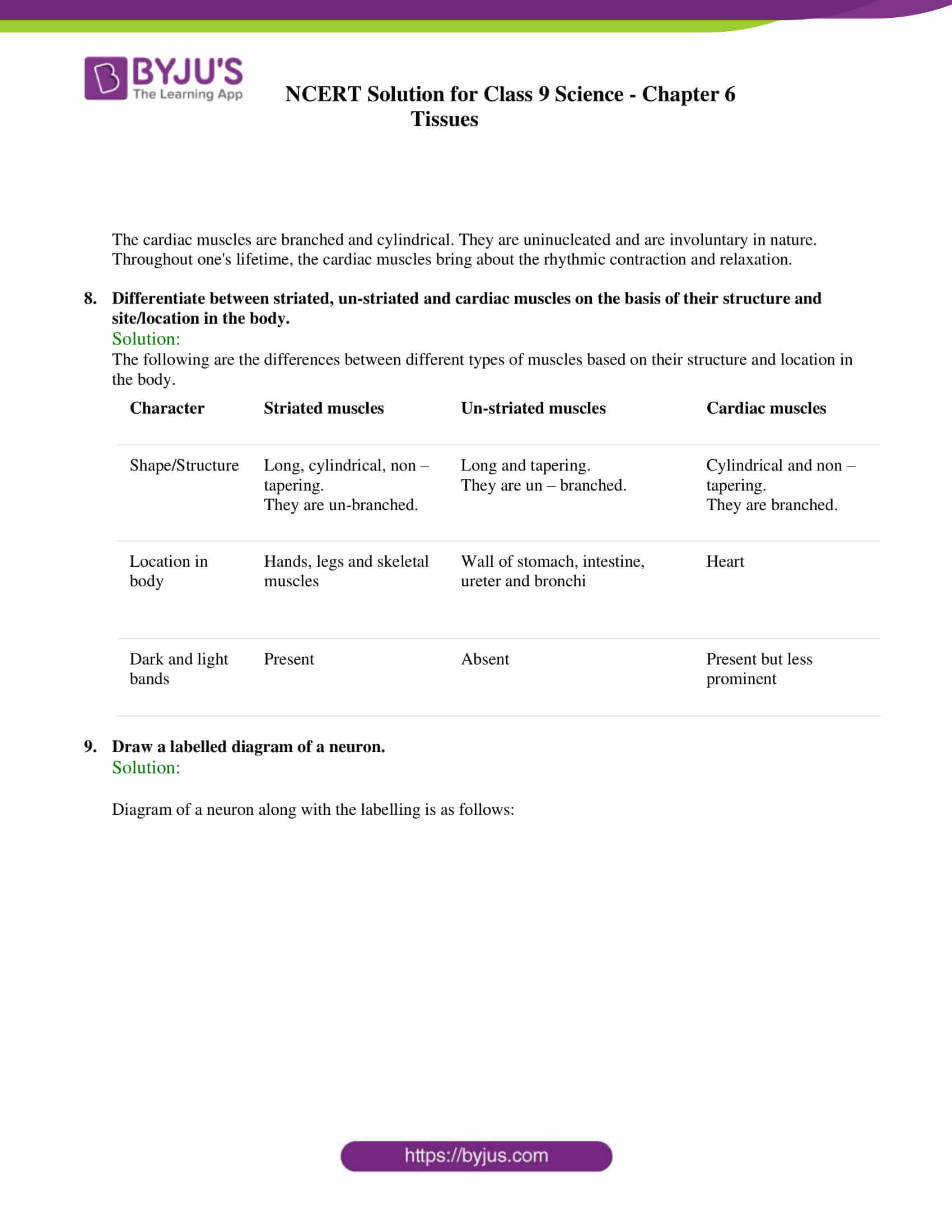 NCERT Solutions for Class 9 Science Chapter 6 Tissues