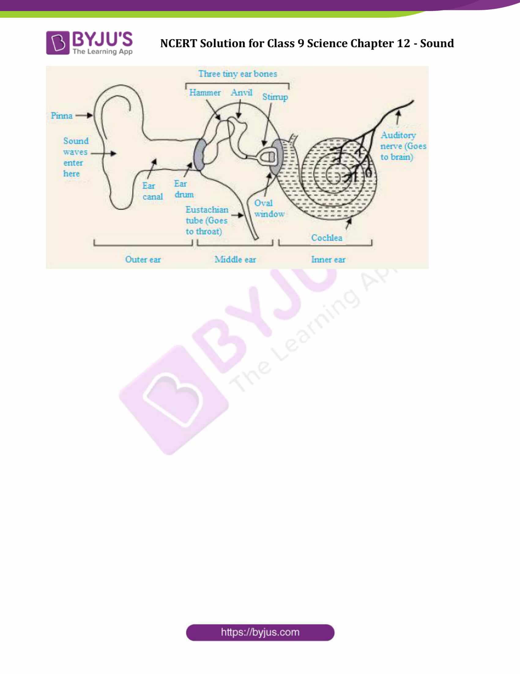 NCERT Solutions Class 9 Science Chapter 12 Sound Free PDF Download