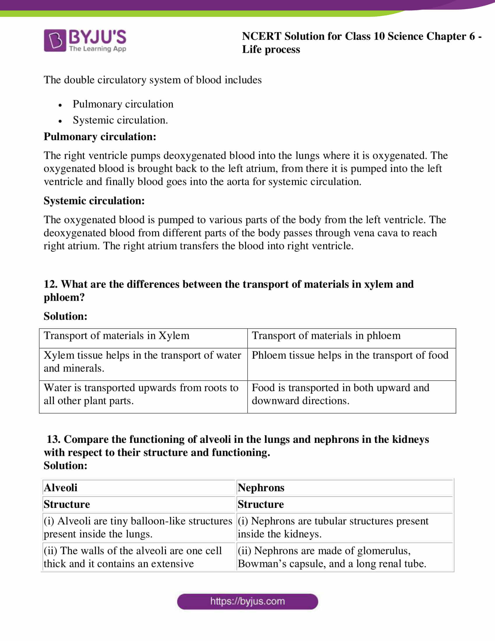 Ncert Solutions For Class 10 Science Life Processes Part 2 NCERT