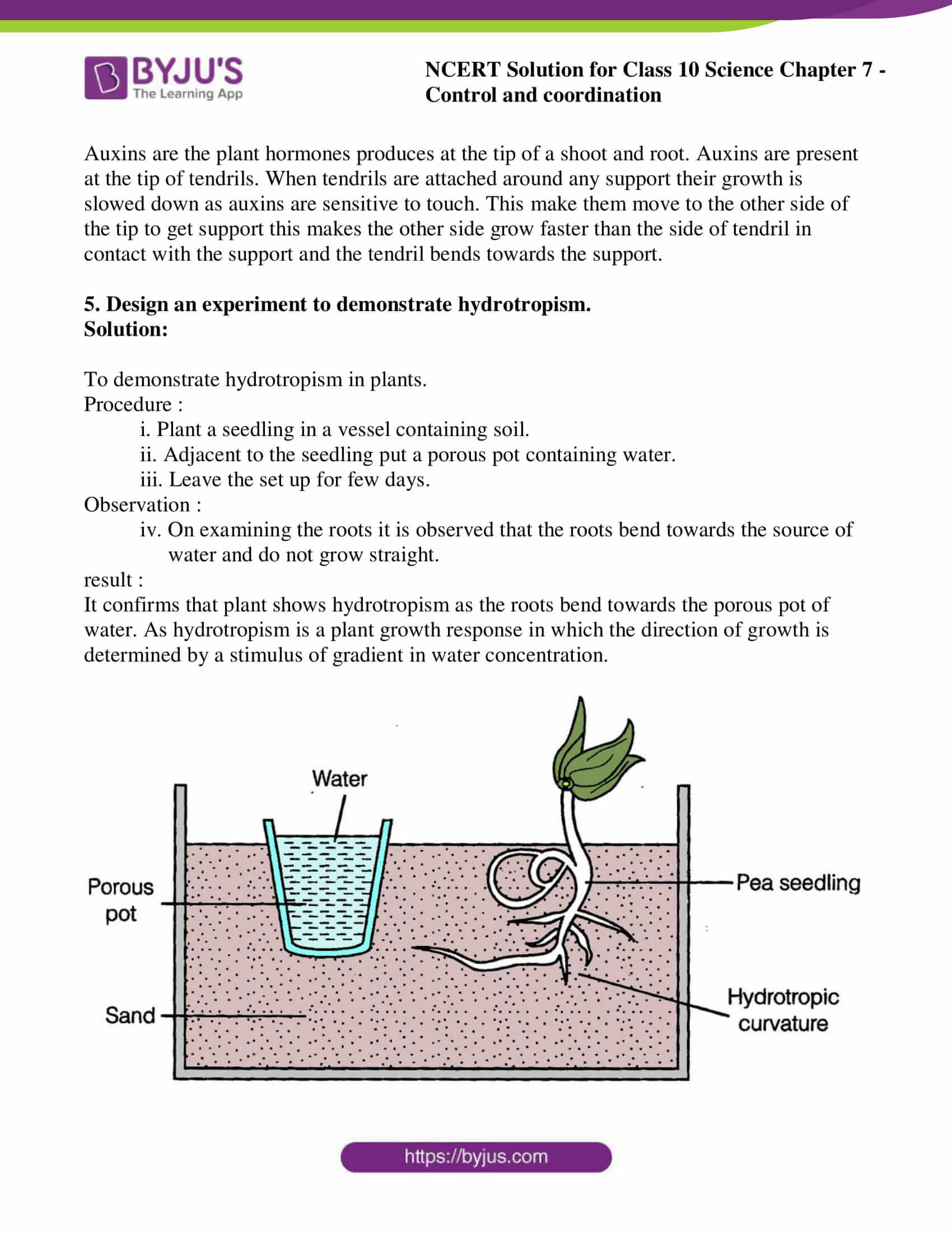 NCERT Solutions For Class 10 Science Chapter 7 Control And Coordination NCERT Solutions For Class 10 Science Chapter 7 Control And Coordination