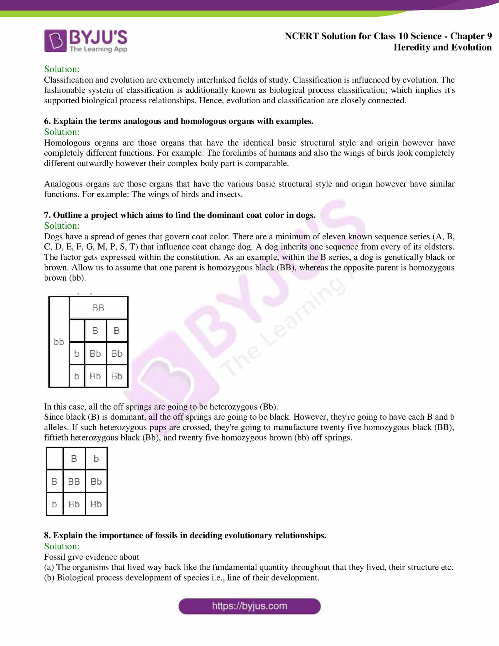 NCERT Solutions Class 10 Science Chapter 9 Heredity and Evolution - BYJU'S