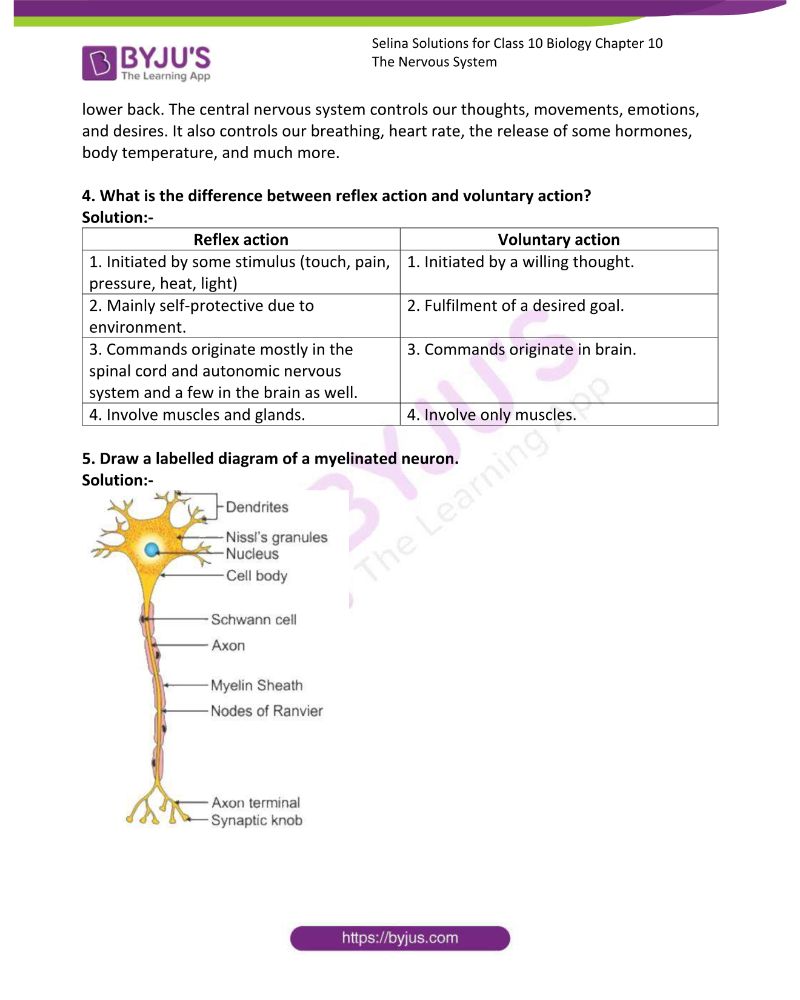 Selina Solutions Concise Biology Class 10 Chapter 10 The Nervous System Selina Solutions Concise Biology Class 10 Chapter 10 The Nervous System