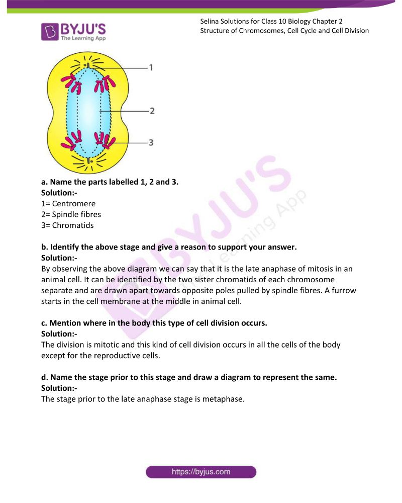 Selina Solutions Concise Biology Class 10 Chapter 2 Structure Of Selina Solutions Concise Biology Class 10 Chapter 2 Structure Of
