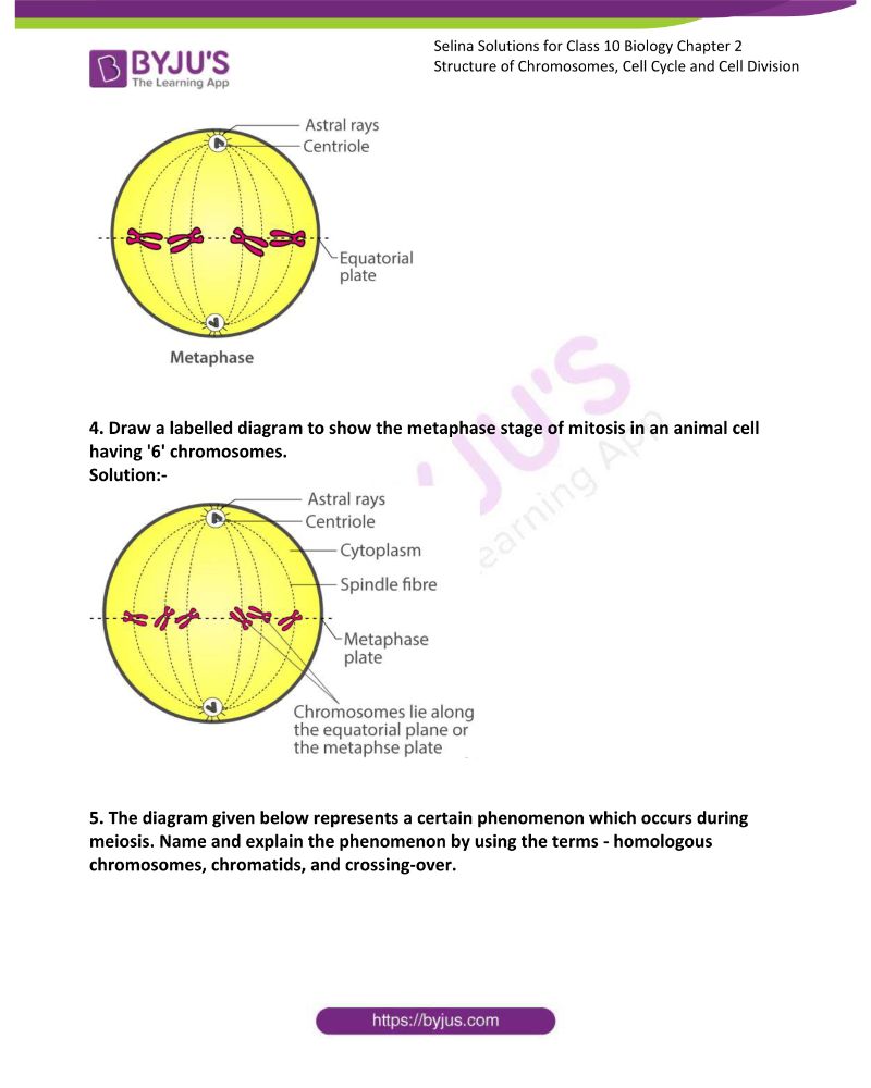 Selina Solutions Concise Biology Class 10 Chapter 2 Structure Of Selina Solutions Concise Biology Class 10 Chapter 2 Structure Of