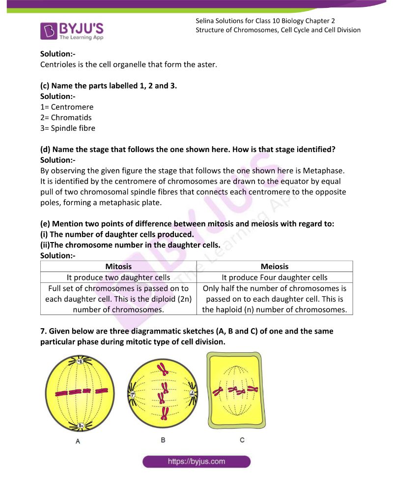 Selina Solutions Concise Biology Class 10 Chapter 2 Structure Of
