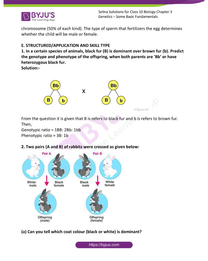 Selina Solutions Concise Biology Class 10 Chapter 3 Genetics Some Selina Solutions Concise Biology Class 10 Chapter 3 Genetics Some