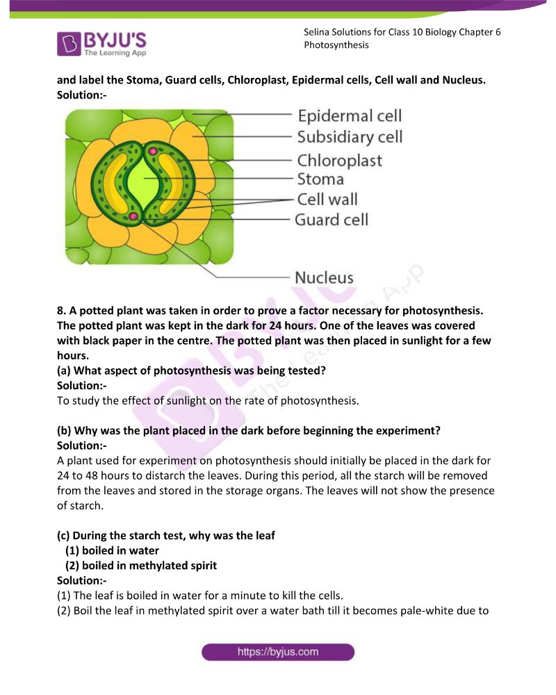 Selina Solutions Concise Biology Class 10 Chapter 6 Photosynthesis Selina Solutions Concise Biology Class 10 Chapter 6 Photosynthesis