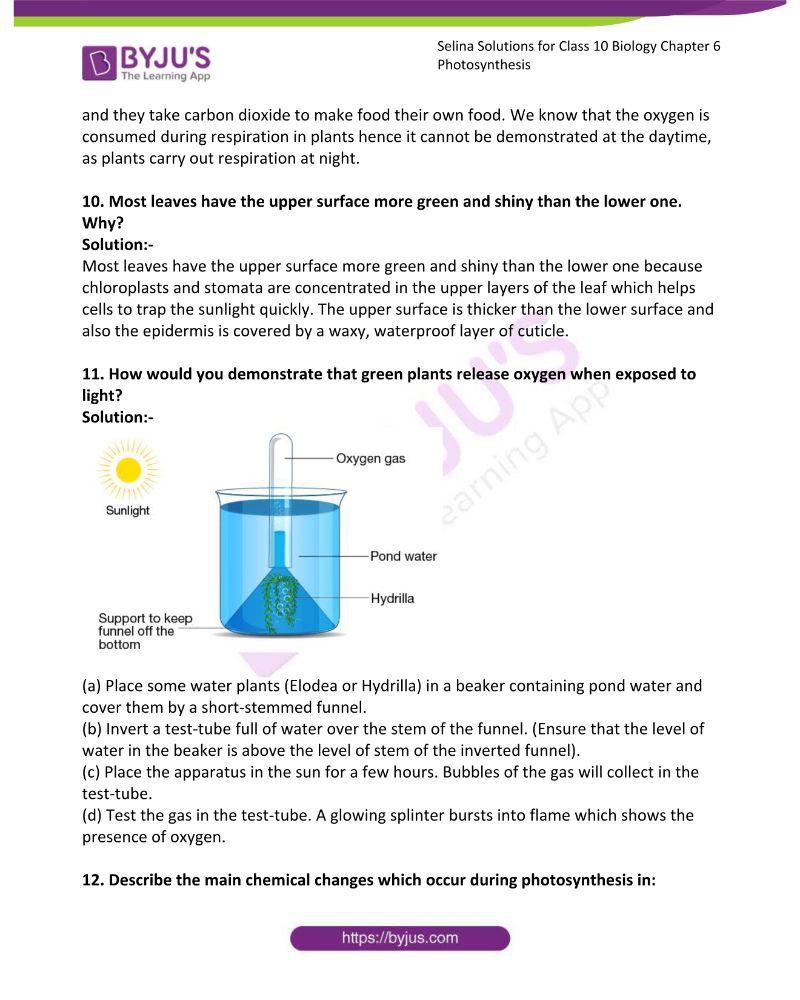 Selina Solutions Concise Biology Class 10 Chapter 6 Photosynthesis