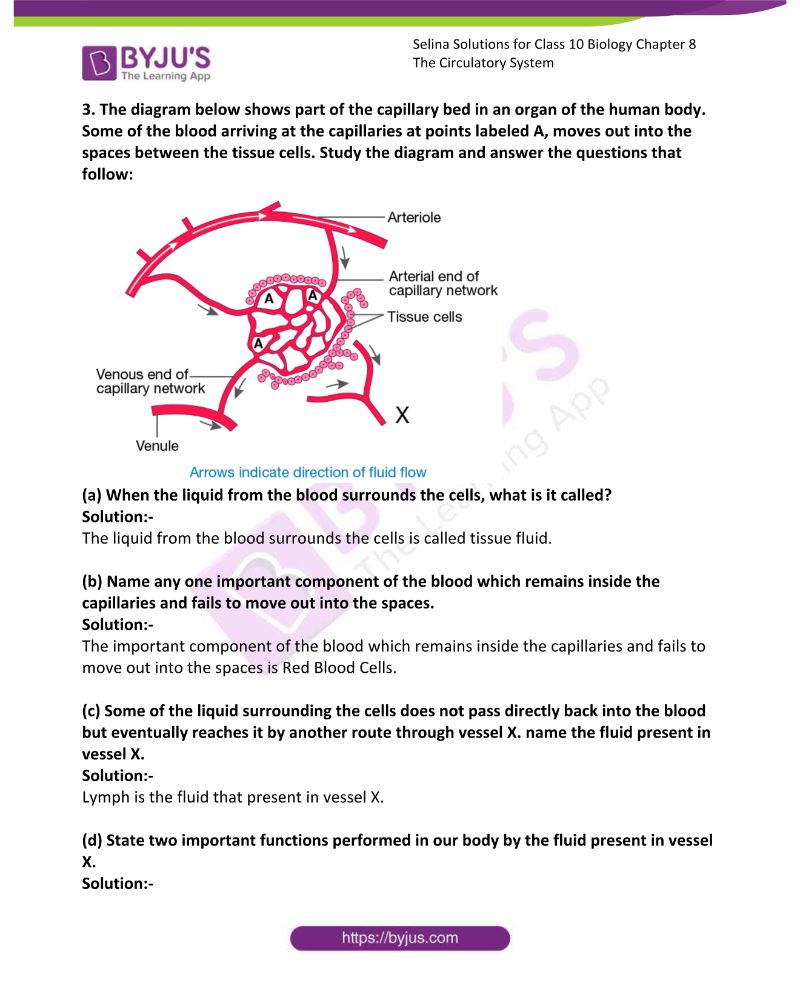 Selina Solutions Concise Biology Class 10 Chapter 8 The Circulatory Selina Solutions Concise Biology Class 10 Chapter 8 The Circulatory