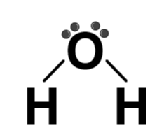 Ligands - Definition, Types & Examples