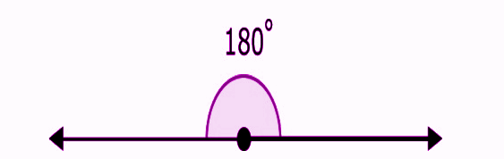 180 Degree Angle (How to Draw and Measure)