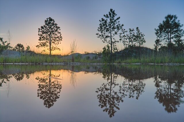 Specular Diffuse Reflection Explanation Differences Applications 