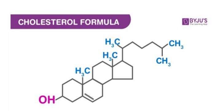 Cholesterol Formula - Structure And Properties Of Cholesterol