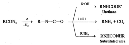 Rearrangement Reaction - Definition, Different Types of Rearrangement ...