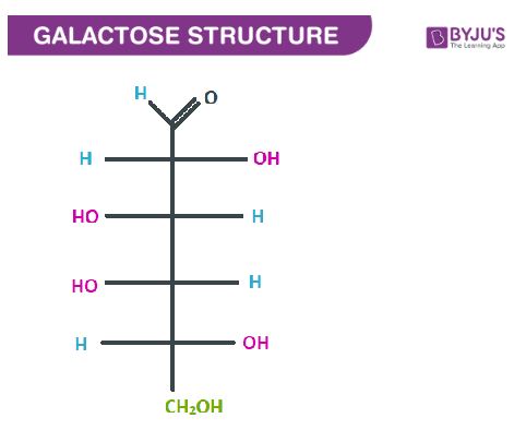 Galactose Formula - Definition, Formula, Structure And Properties
