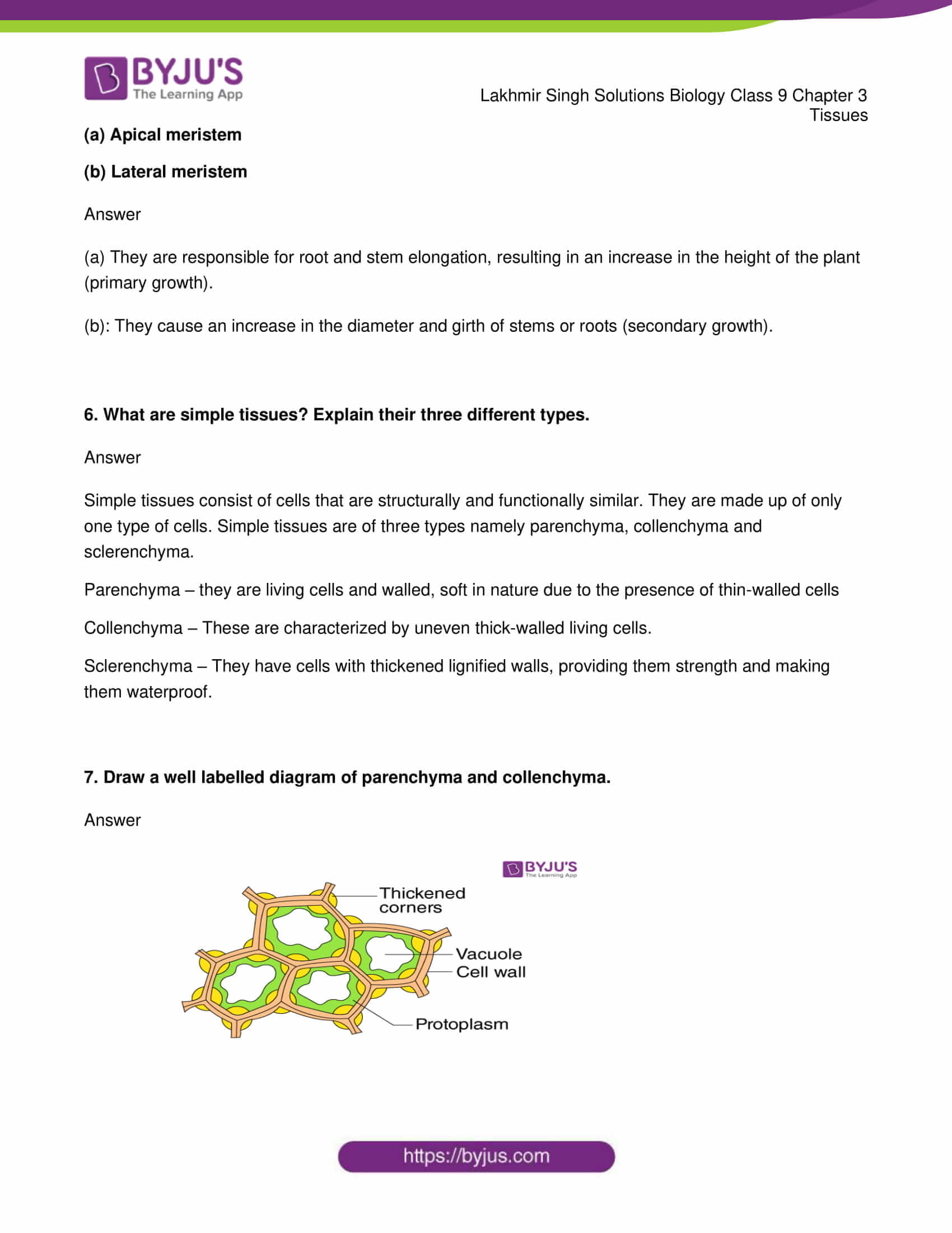 Lakhmir Singh Biology Class 9 Solutions For Chapter 3 Tissues Free PDF