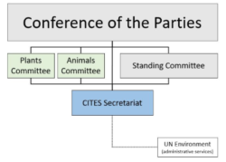 CITES - Convention on International Trade in Endangered Species of Wild ...
